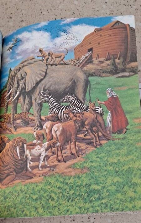 Noah's Ark, A Little Golden Book - Etsy