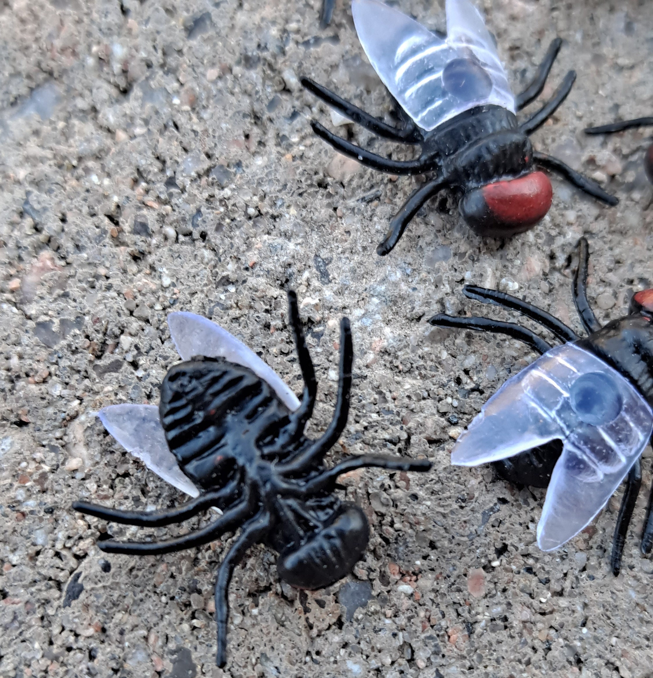 Mini Miniature Rubber Plastic Realistic Looking Flies Insects Crafting ...