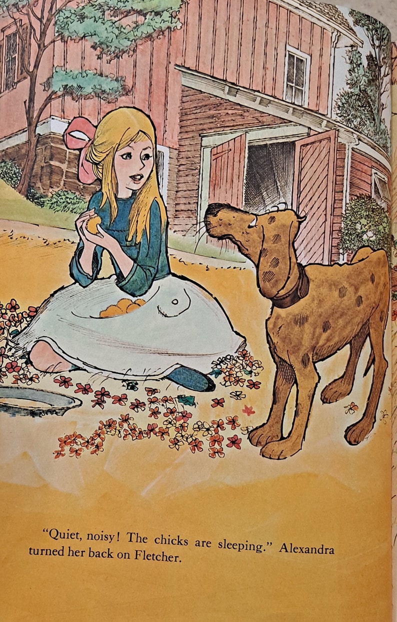 How Fletcher Was Hatched by Wende and Harry Devlin - Etsy
