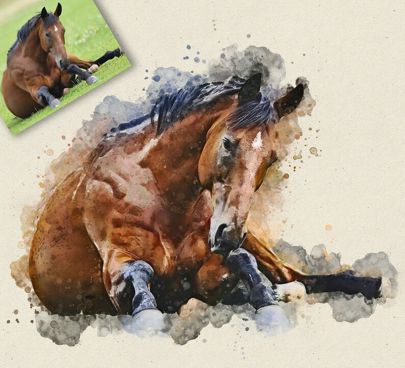Custom Horse Watercolour Custom Drawing Horse Portrait From Photo ...
