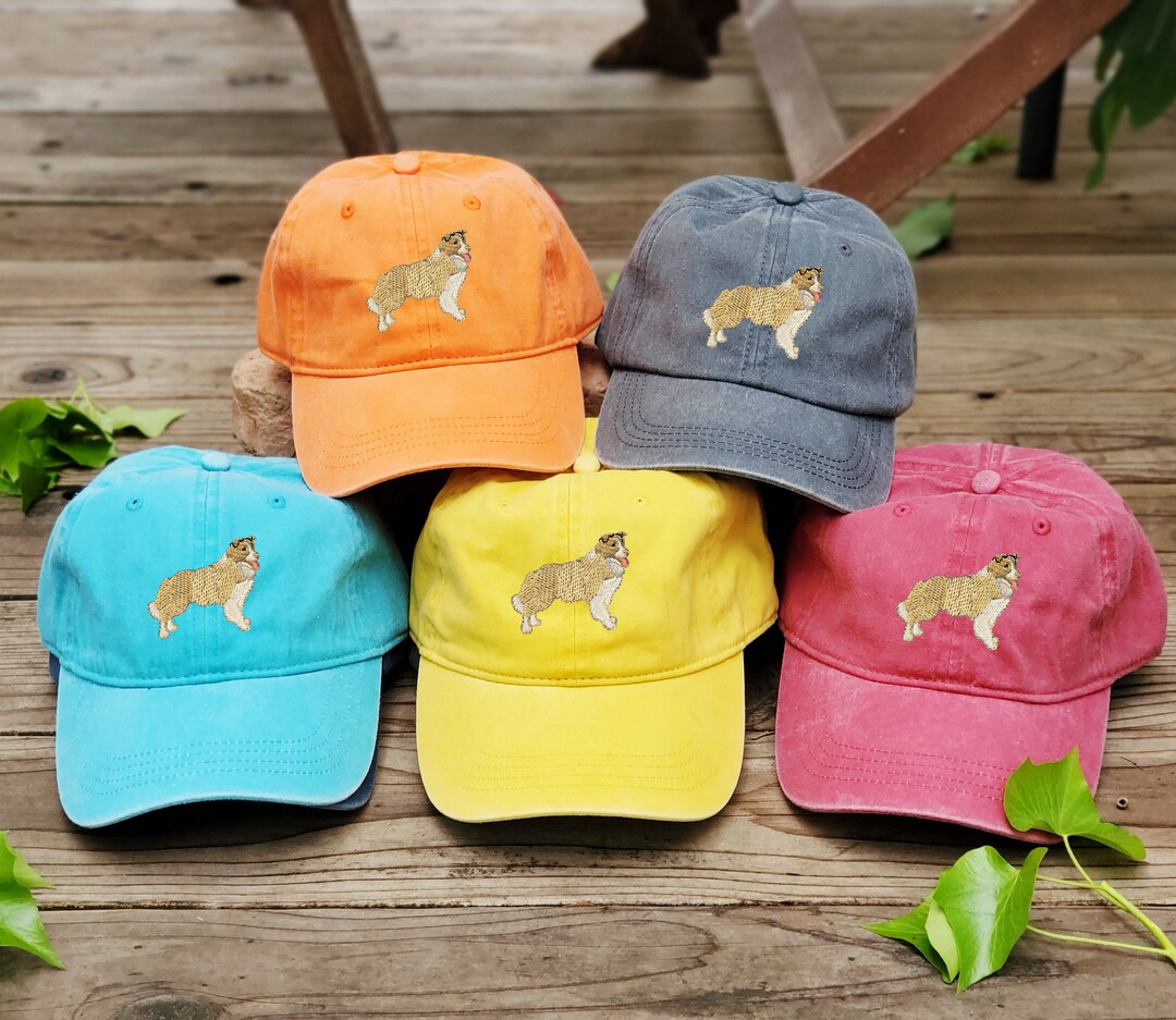 Golden Border Collie Dog Embroidered Dad Hat Coltriever Lover - Etsy