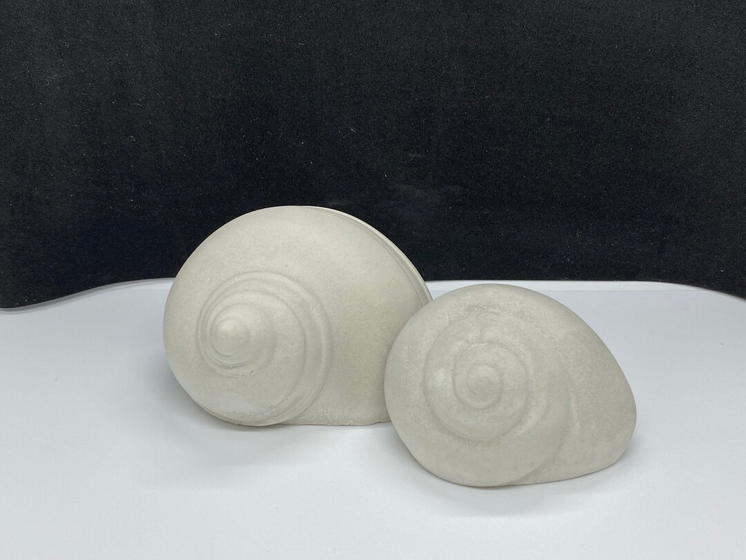 Plaster Snail Shell: Mandala Stone for Dot Painting - Etsy