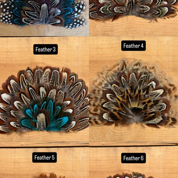 Feather Fan - Etsy