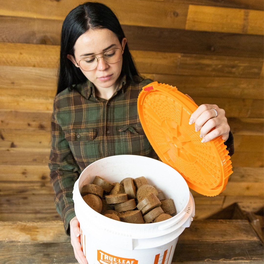 Minute Soil+ - Amended Compressed Coco Coir - Bucket of Pucks - Expands ...