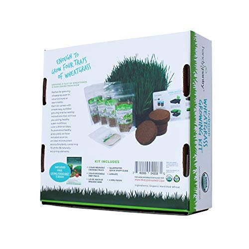 Organic Wheatgrass Growing Starter Kit - Grow & Juice Wheat Grass ...