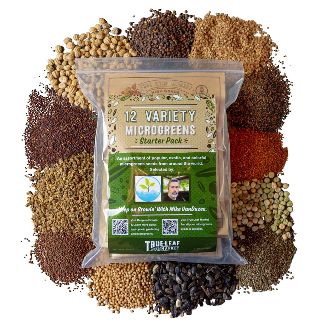 12 Variety Pack Microgreens Sampler - Etsy