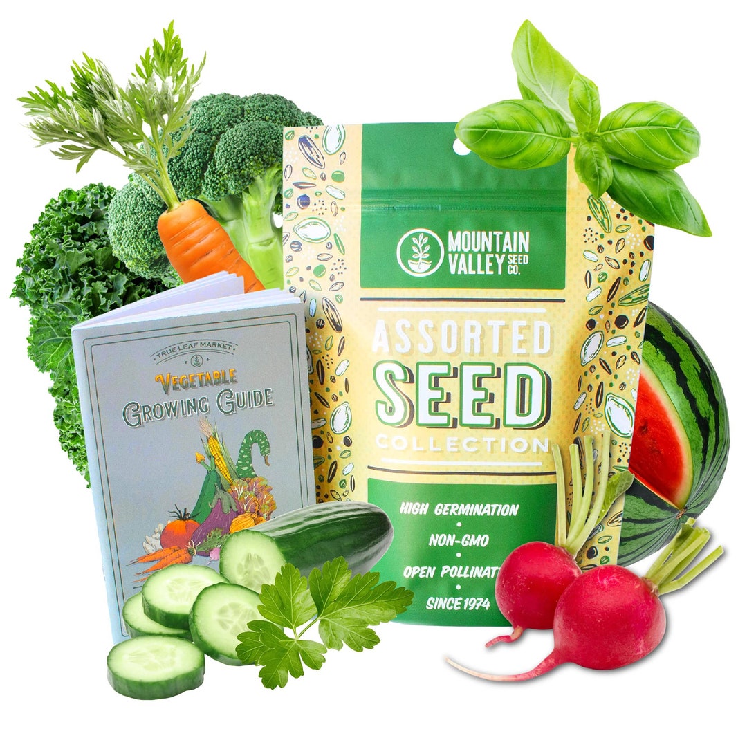 10 Assorted Organic Vegetable Seeds for Planting - ~3,200 + Heirloom ...
