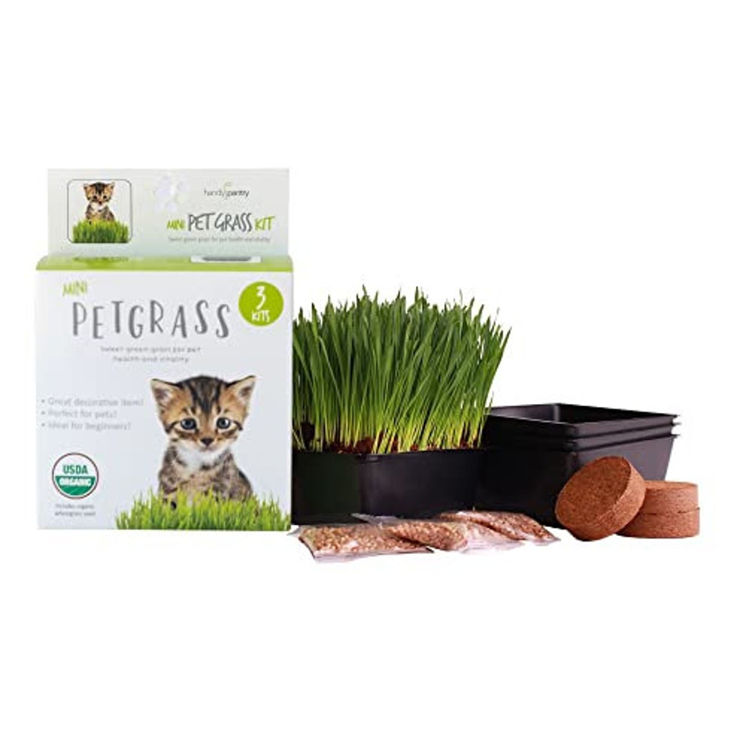 Handy Pantry Organic Cat Grass Kit - Includes 3 Trays, Soil Pucks, and ...