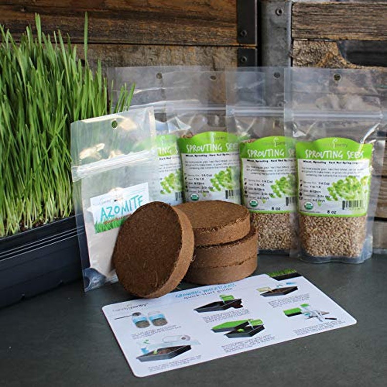 Organic Wheatgrass Growing Starter Kit Grow & Juice Wheat Grass ...