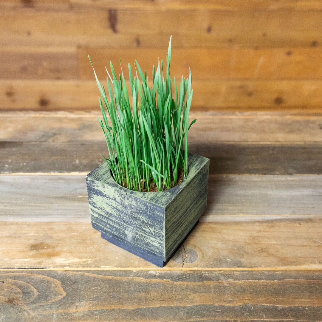 Wood Planter Box - Square - Mossy Green - Etsy