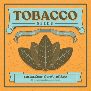 TN 90 LC Tobacco Seeds for Planting - ~10,000 Non-gmo Heirloom Tobacco ...