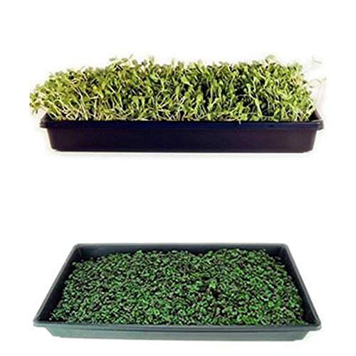 Deluxe Microgreens Growing Kit Grow Micro Greens & Baby Salad Soil and ...