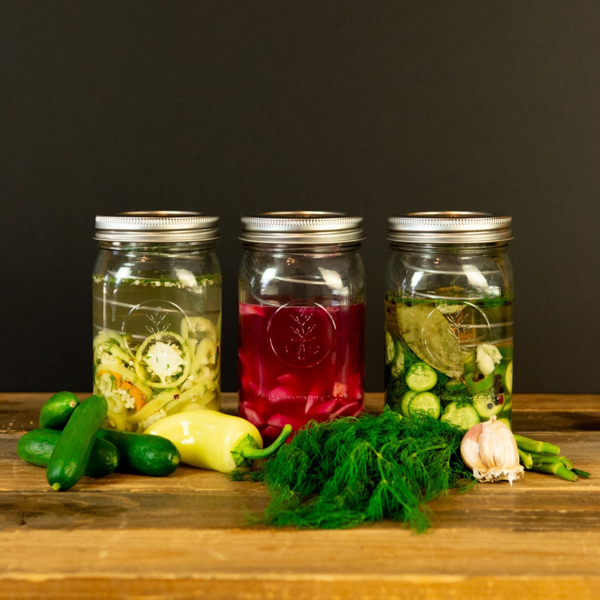 Complete Quick Pickling Kit Mason Jar 316 Stainless - Etsy