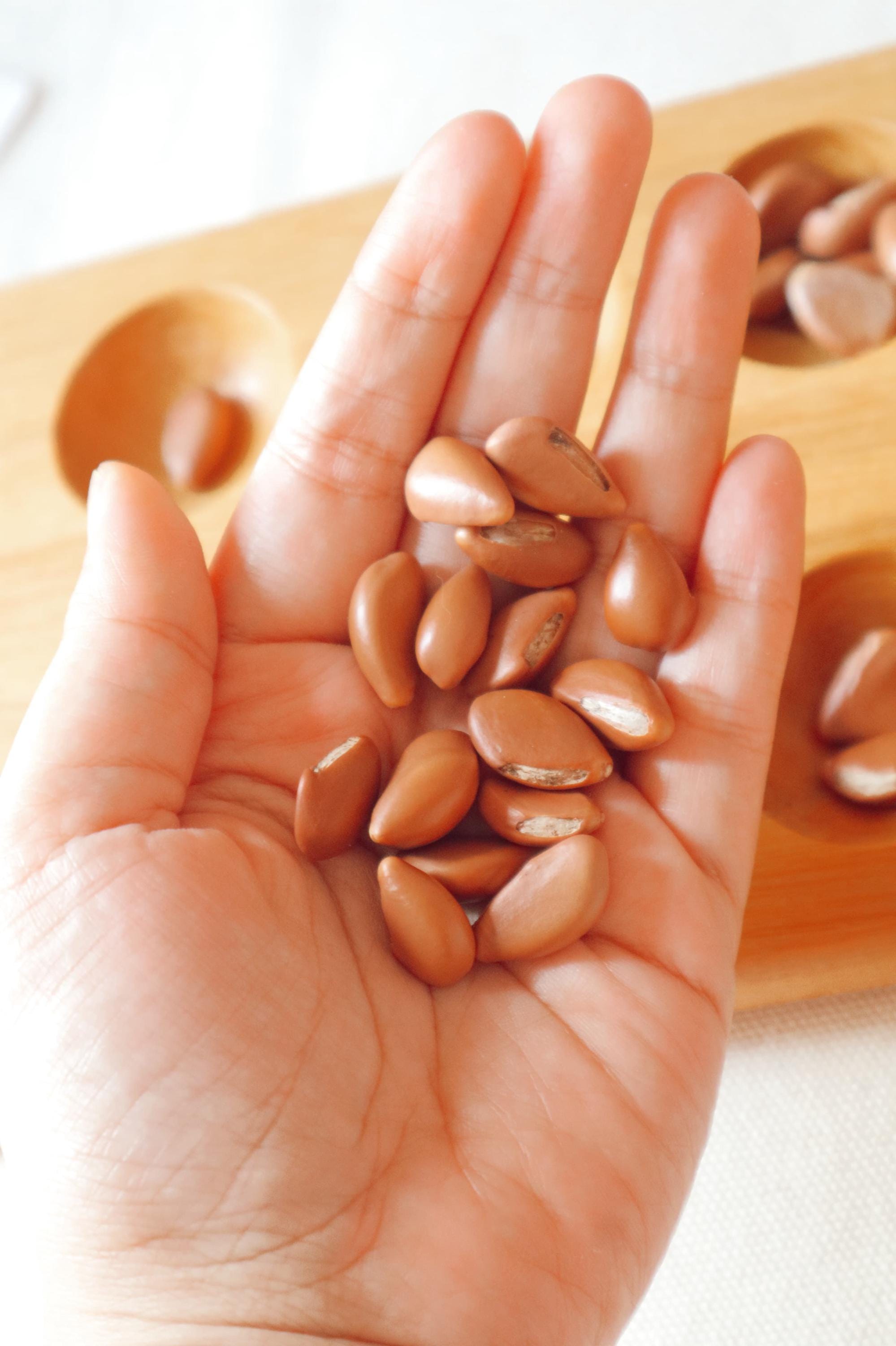 MOMIYO Wooden Congklak Mancala Game Set | Handmade Traditional Board ...