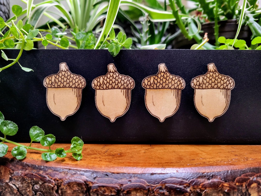 Mini Acorn Magnets Wood, Set of Four - Etsy