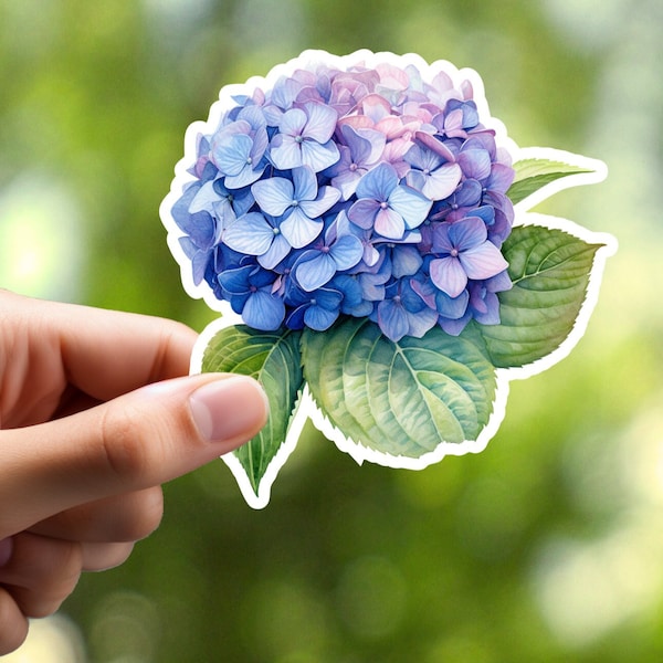 Hydrangea - Etsy