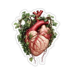 Heart Wrapped in Ivy Sticker, Anatomy Sticker, Notebook Sticker ...