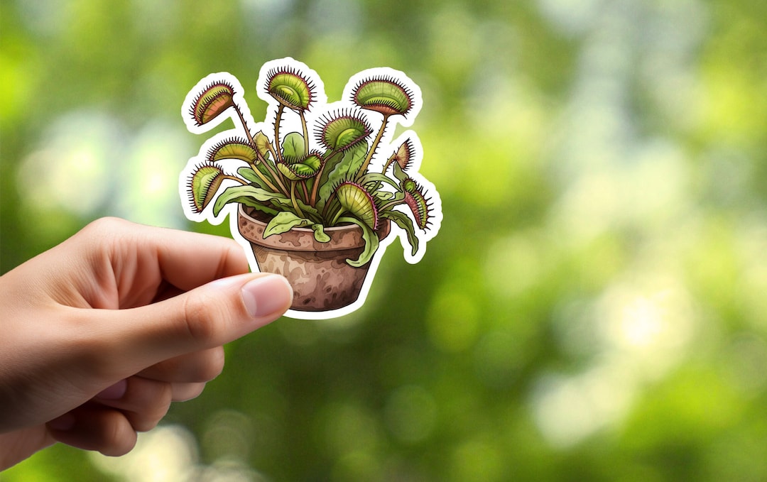 Venus Flytrap Sticker, House Plant Sticker, Notebook Sticker, Journal ...