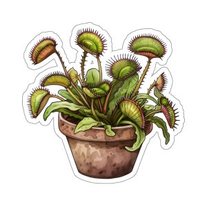 Venus Flytrap Sticker, House Plant Sticker, Notebook Sticker, Journal Sticker, Planner Sticker ...