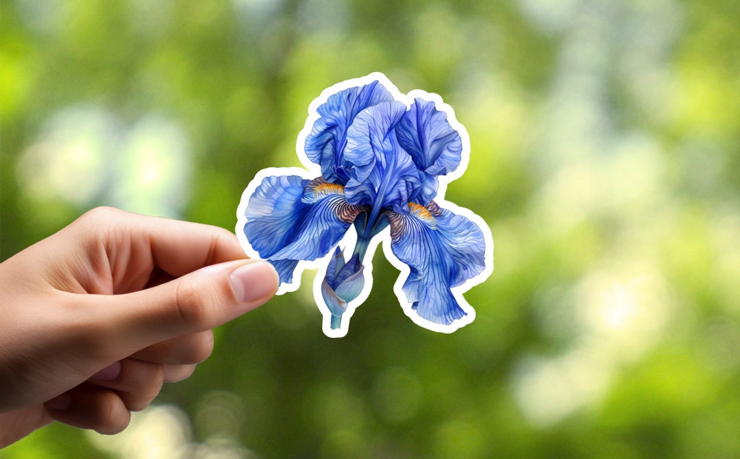 Blue Watercolor Iris Sticker, Flower Sticker, Notebook Sticker, Planner ...