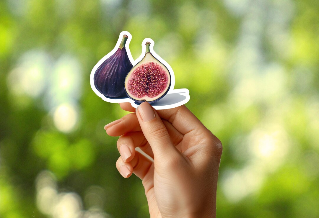Fig Sticker, Food Sticker, Notebook Sticker, Planner Sticker, Journal ...