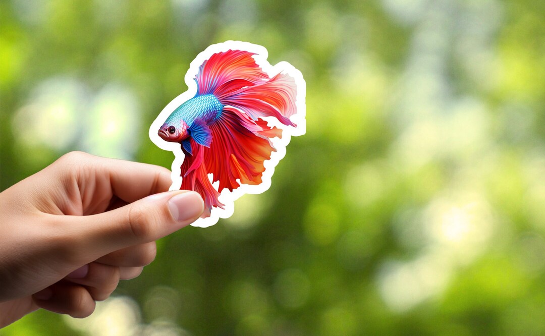 Betta Fish Sticker, Pet Sticker, Notebook Sticker, Planner Sticker ...