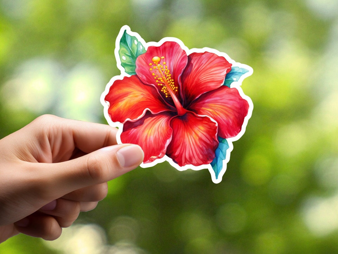 Hibiscus Sticker, Red Flower Sticker, Laptop Sticker, Journal Sticker ...