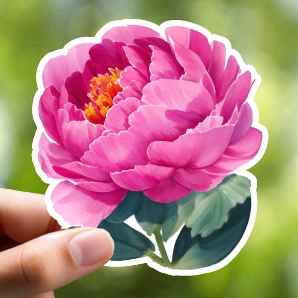 Peony Sticker - Etsy