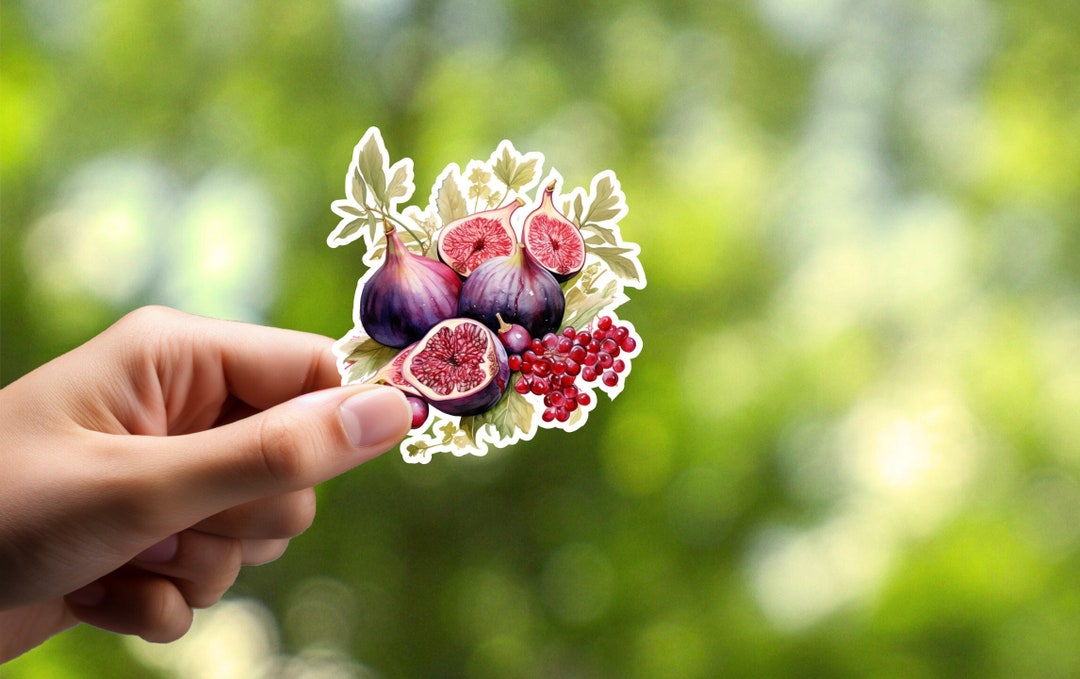 Figs Sticker, Food Sticker, Laptop Sticker, Notebook Sticker, Planner ...