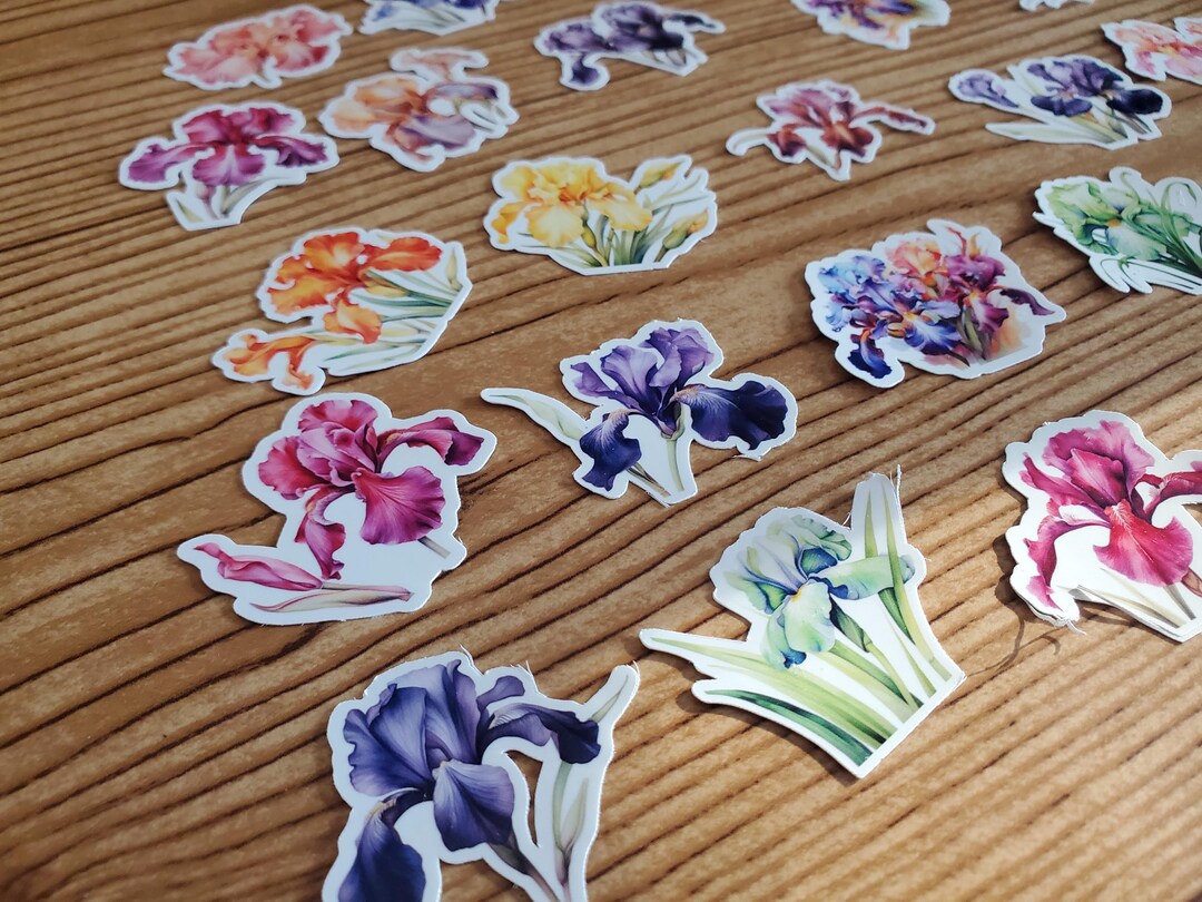Irises Sticker Bundle, Flower Sticker Pack, Sticker Collection, Planner ...