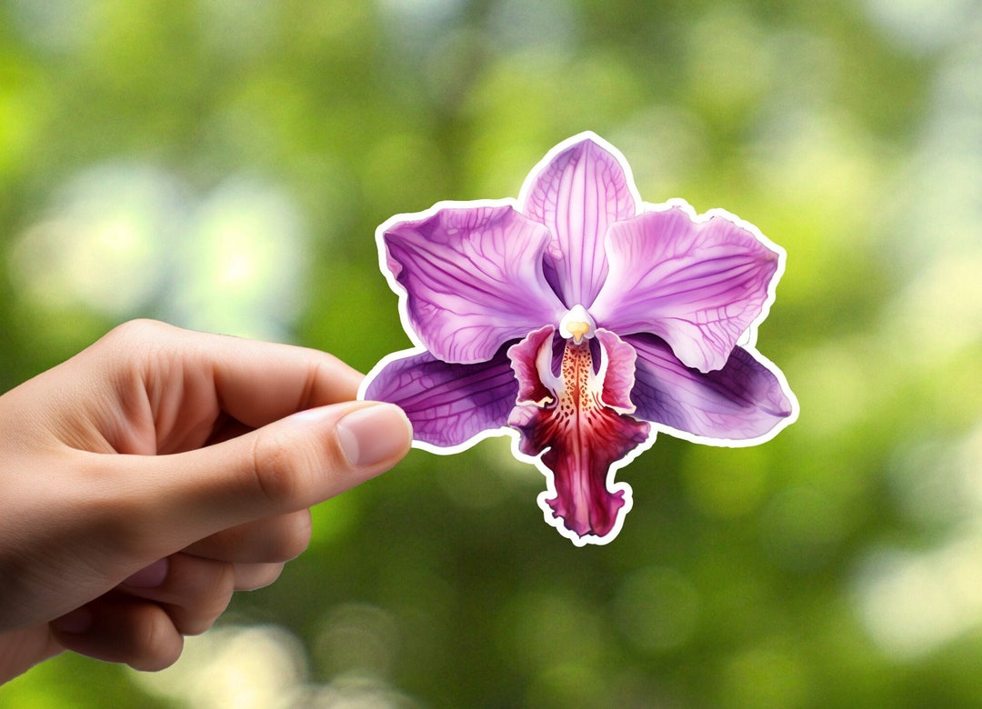 Orchid Stickers, Flower Sticker, Laptop Sticker, Notebook Sticker ...