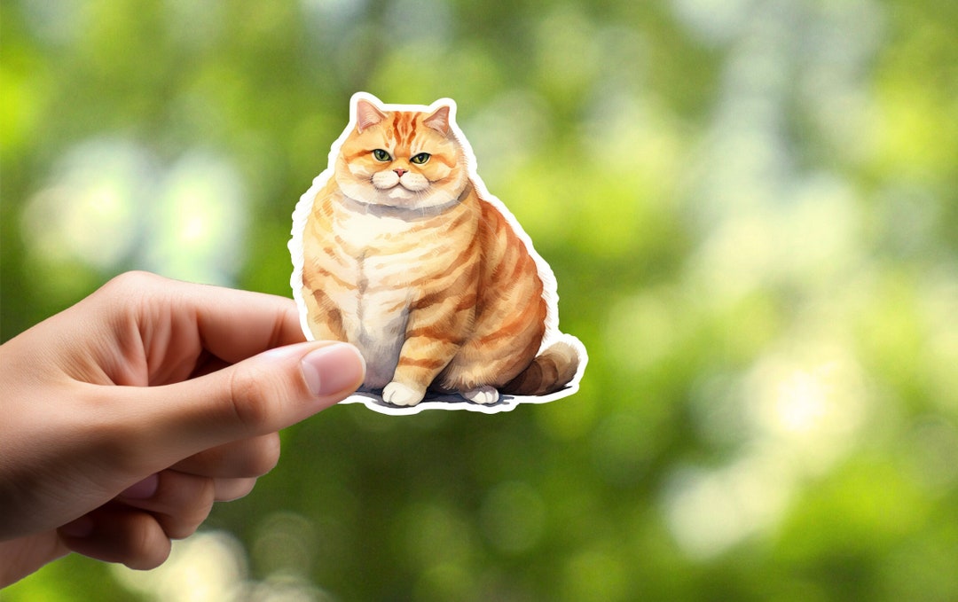 Chubby Cat Sticker, Fat Cat Sticker, Notebook Sticker, Journal Sticker ...