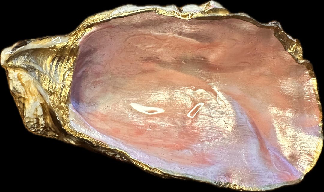 PINK OYSTER Shell , Ring Dish, Beach Décor, Soap Dish, Shell Trinket ...