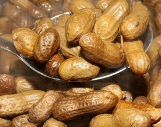 Growing Monkey Nuts Peanuts Clipart