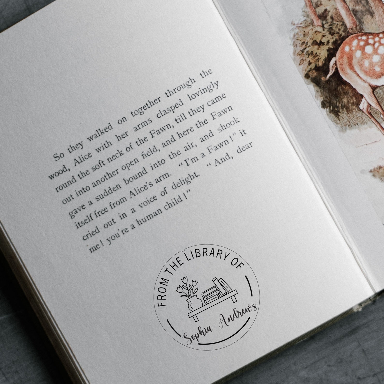 Custom Library Stamp, Book Lover Gift, Personalized Ex Libris Stamper ...