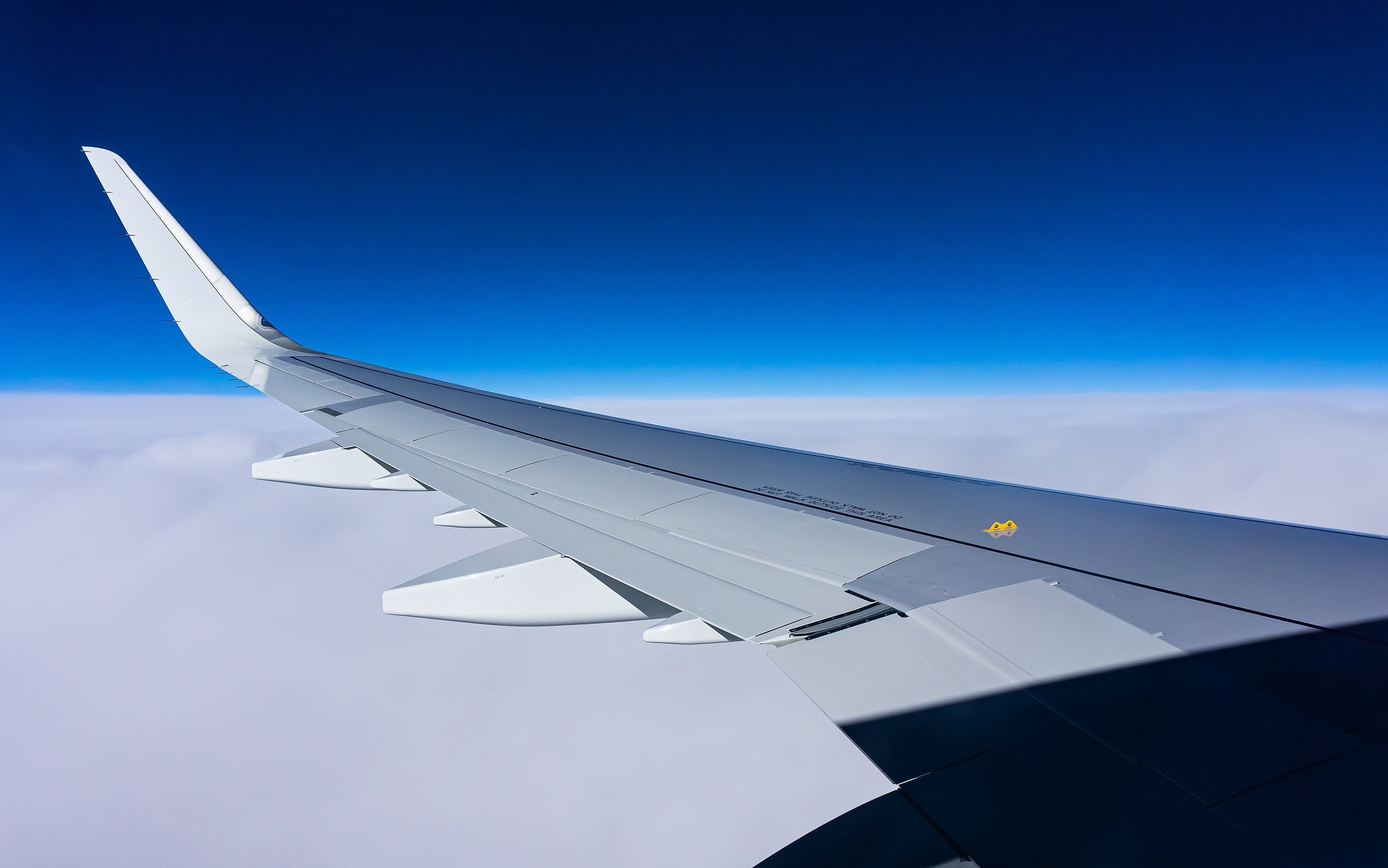 Wing View of a American A321 NEO While Heading to Dallas Texas. - Etsy