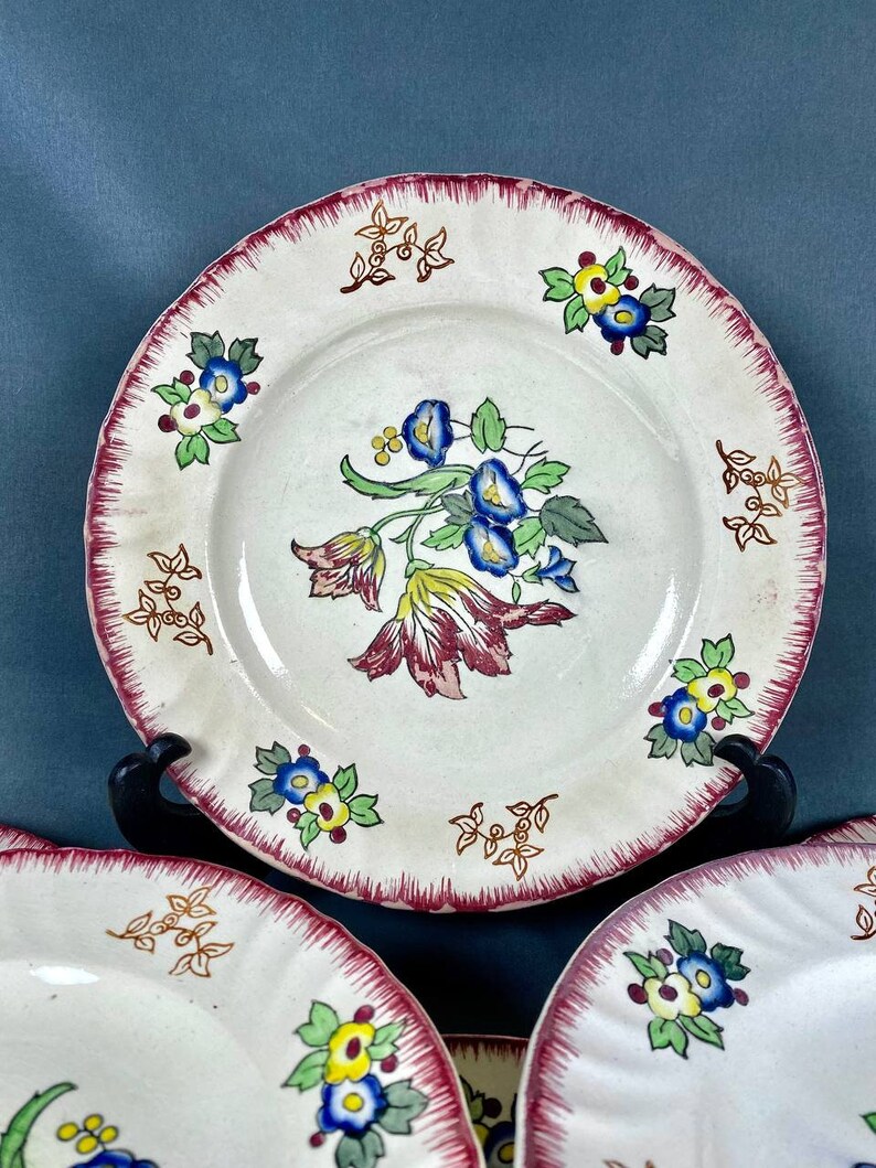 Hand Painted Plate, French Antique Longwy Marseille Motif, 1900s Floral ...