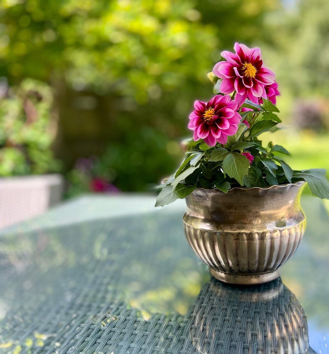 Vintage Brass Round Fluted Planter - Etsy