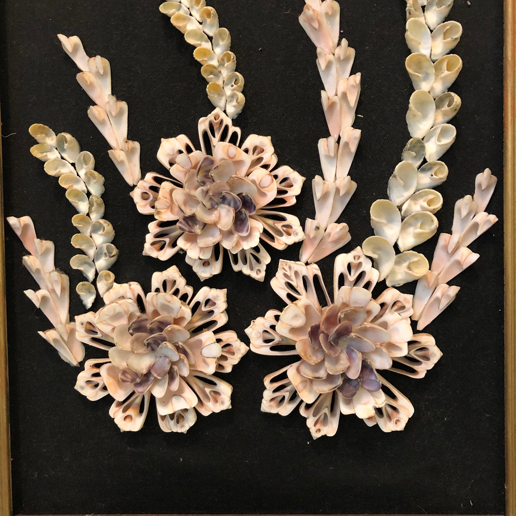 Seashell Art by Barbara Joanna - Etsy