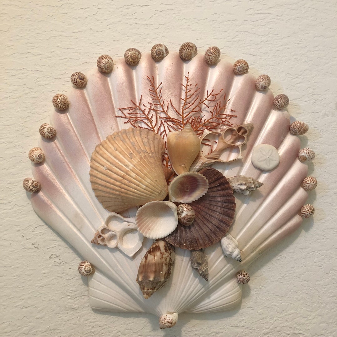 Seashell Art by Barbara Joanna - Etsy