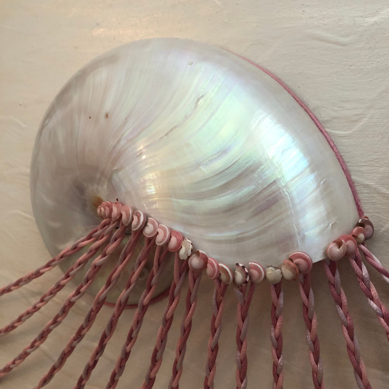 Seashell Art by Barbara Joanna - Etsy