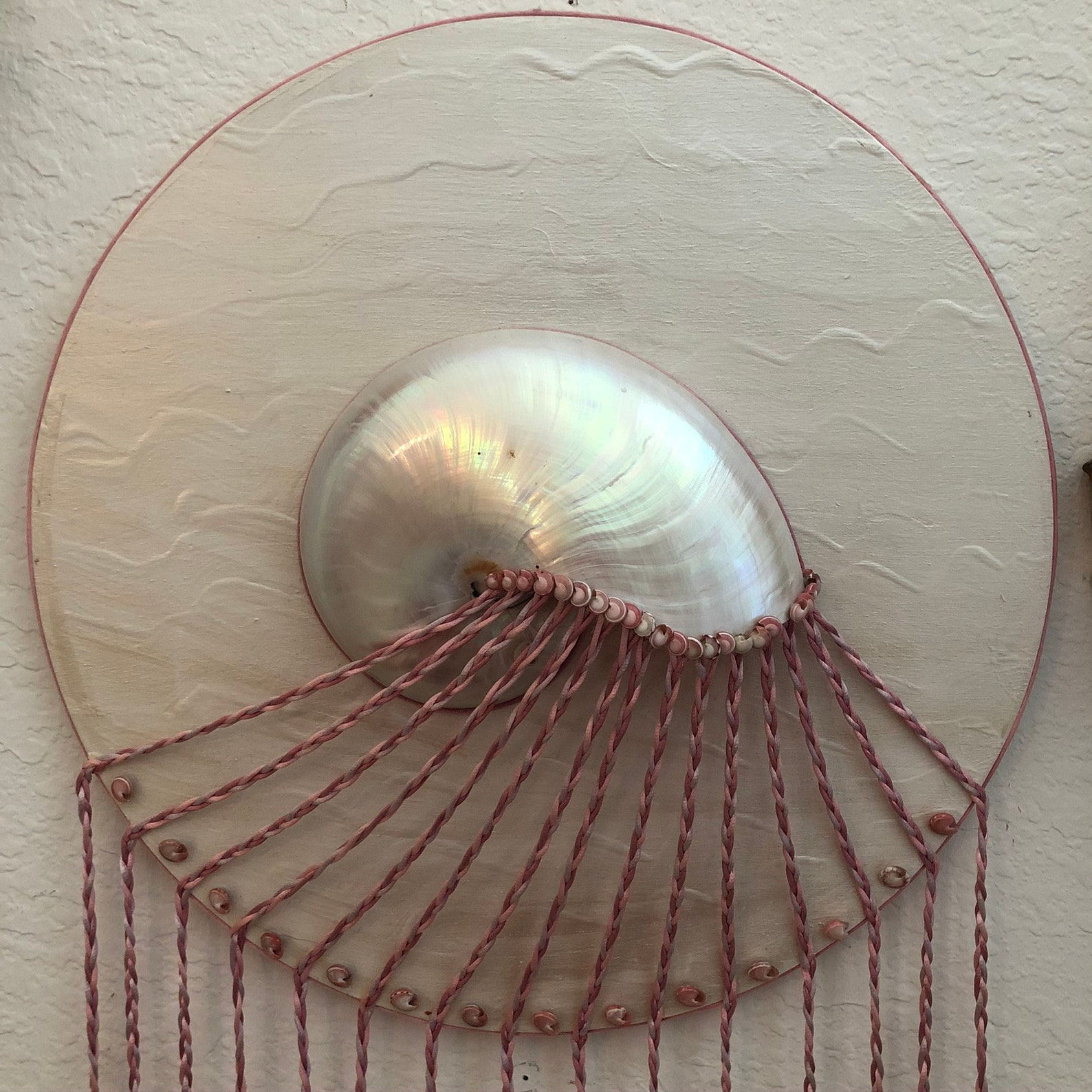 Seashell Art by Barbara Joanna - Etsy