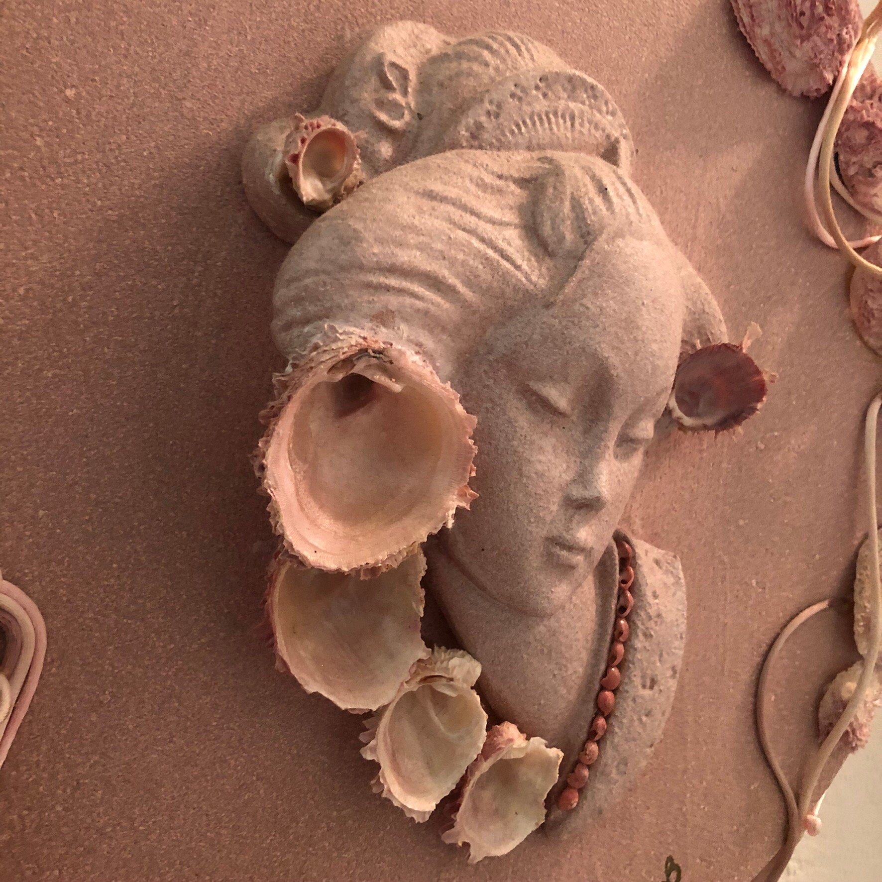 Seashell Art by Barbara Joanna - Etsy