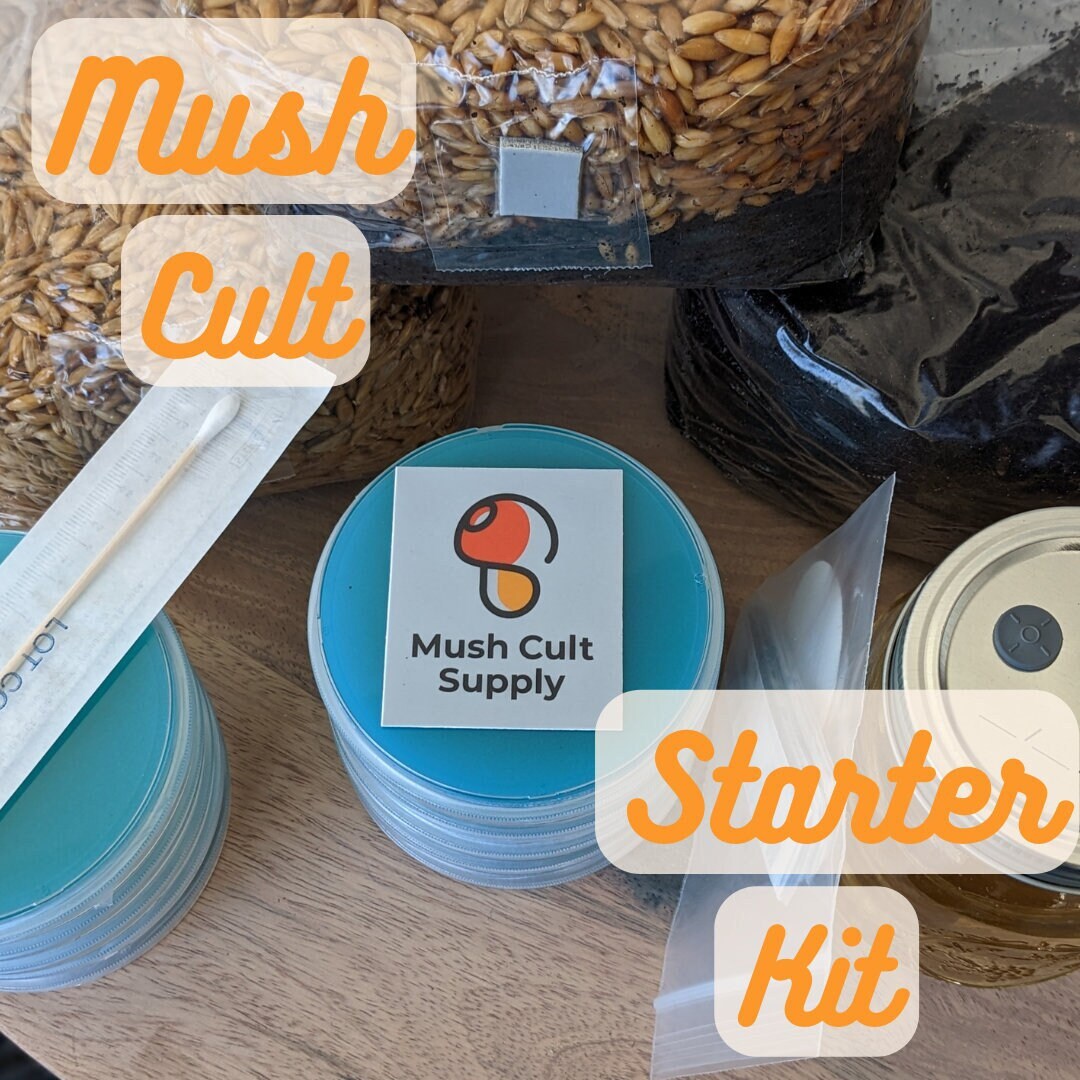 Mush Cult Starter Kit - Mushroom Supplies Sample Pack - Etsy