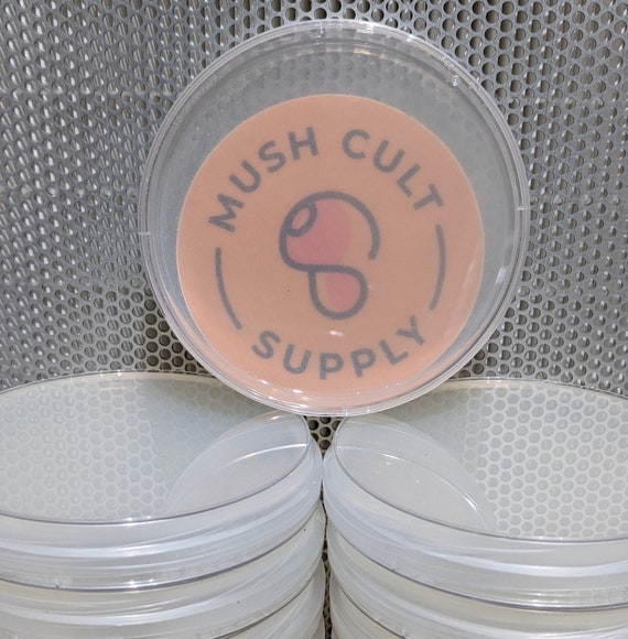 X10 Potato Dextrose Agar Plates Sterile Pre Poured | Etsy