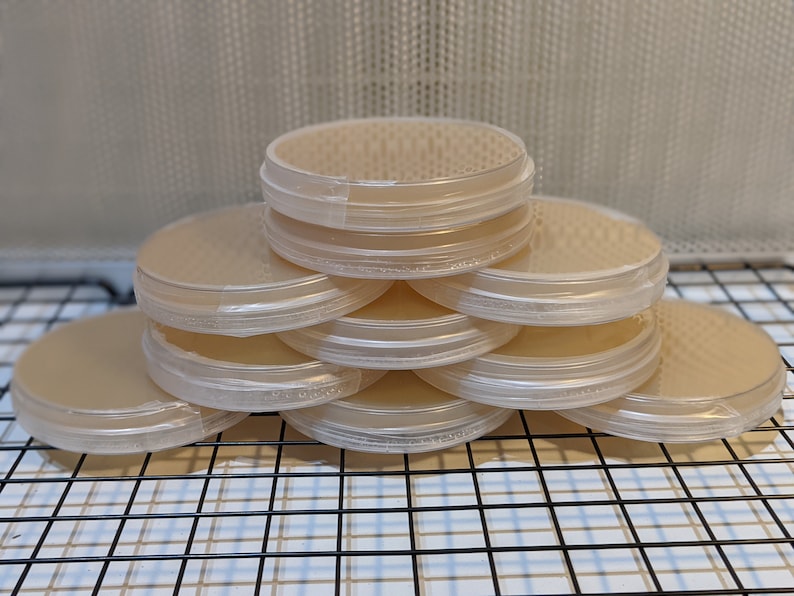 30x Malt Extract Agar Plates, Sterile Pre Poured - Etsy