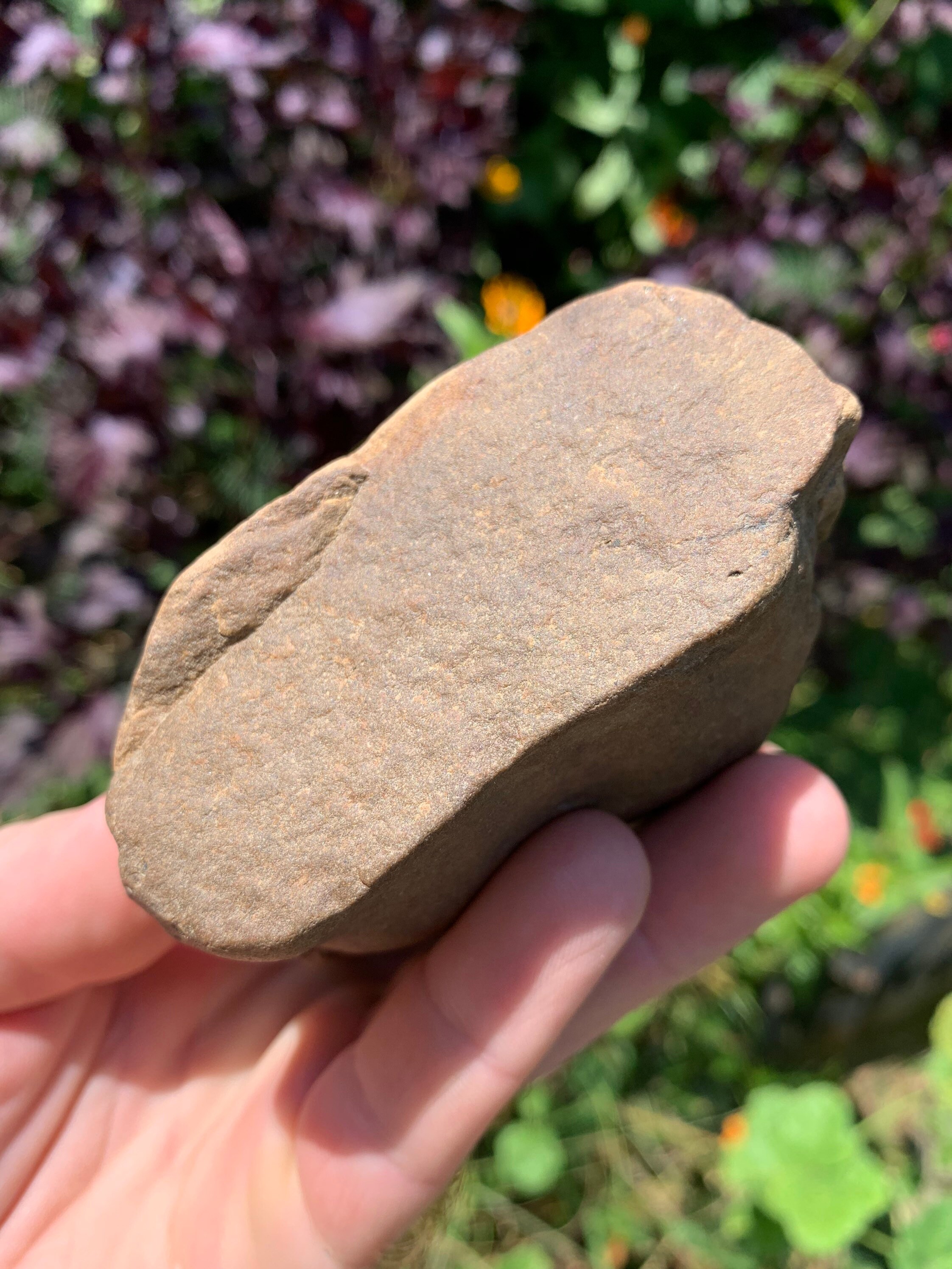 Sandstone Stigmaria Fossil - Etsy