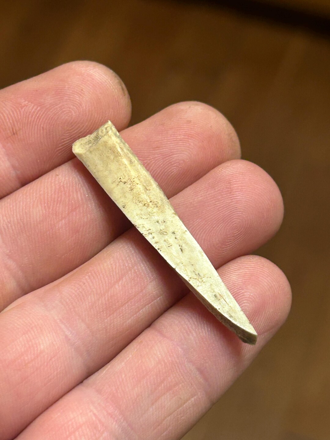 Bone Arrow Point - Etsy