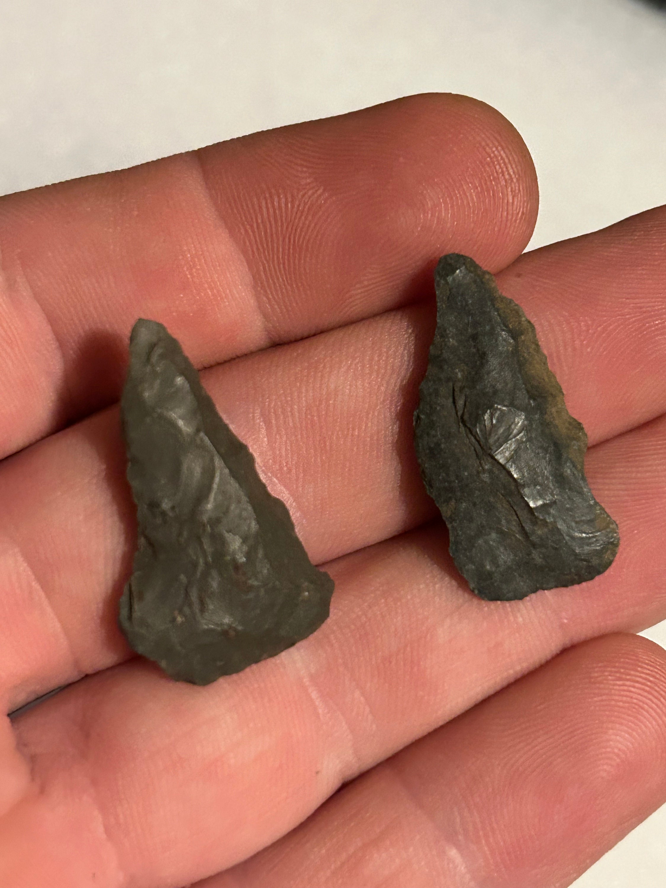 9 Kentucky Arrowheads W/case - Etsy