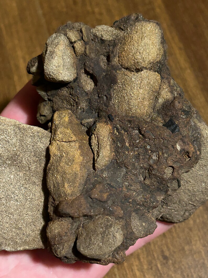 Iron Ore/sandstone Concretion - Etsy